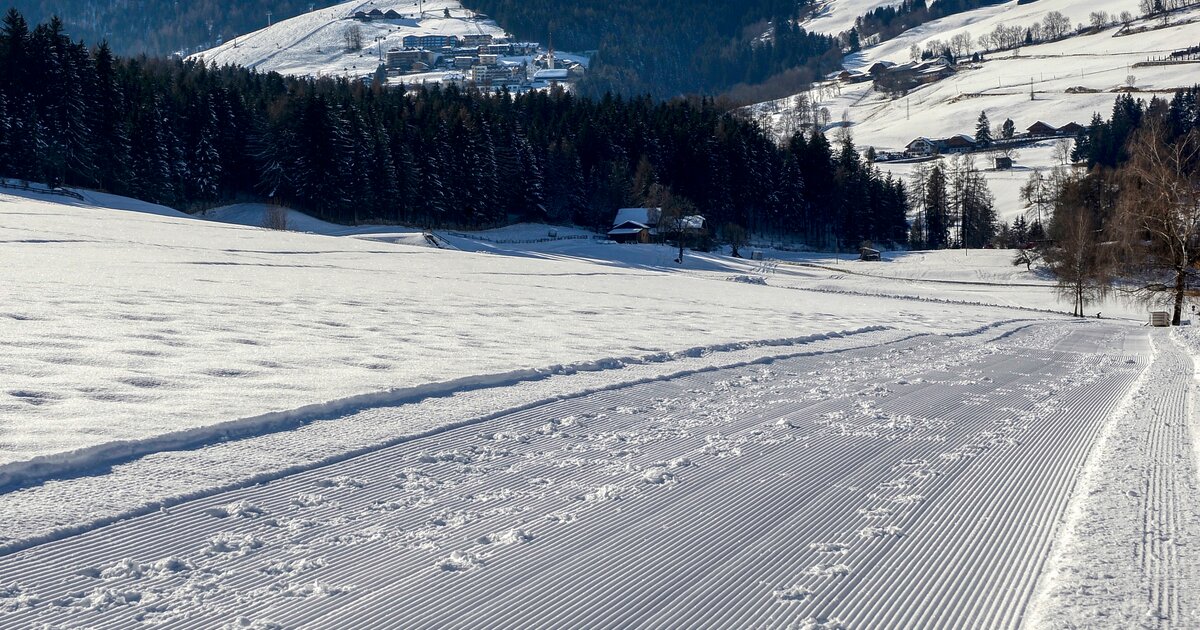 Winter hike: Panorama path | Olang-Valdaora