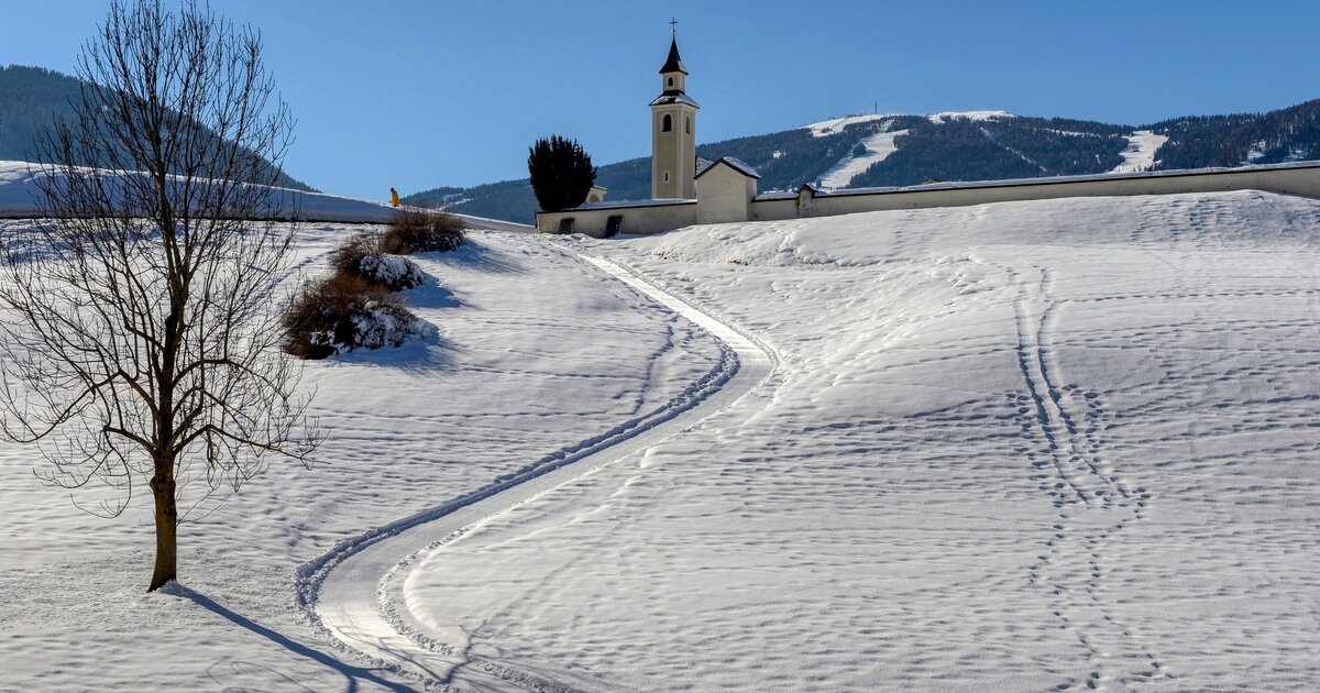 Winter hike: Oberolang - Welsberg | Olang-Valdaora
