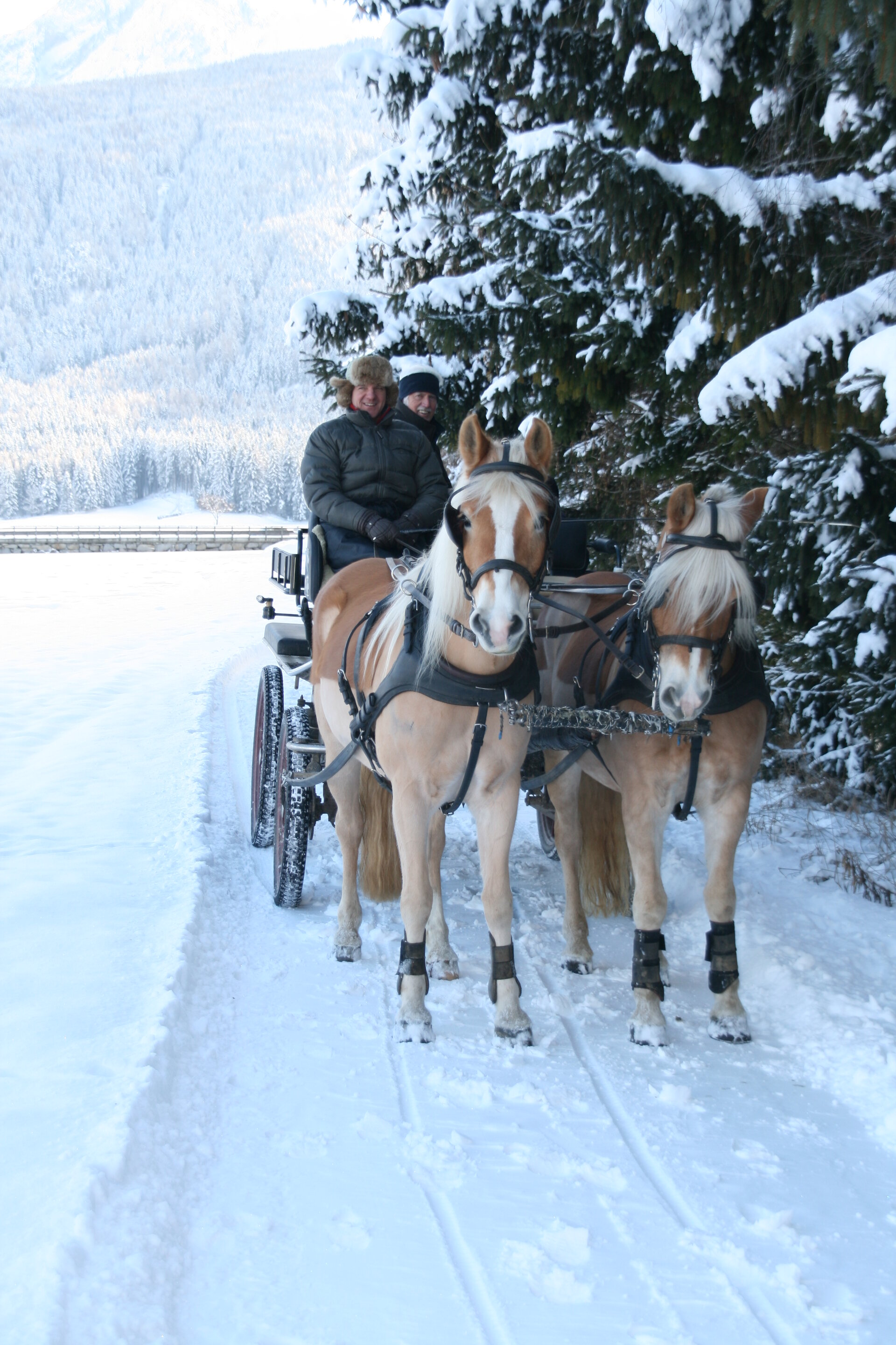 Official Website | Vacation, Info & Hotels | Olang-Valdaora